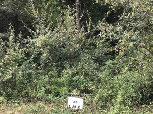 Don Peach Dr Lot 35, Huntingburg, IN 47542