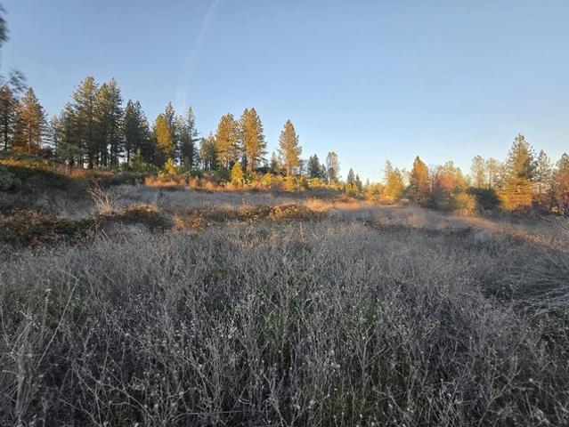 Donkey Mine Rd, Oak Run, CA 96069