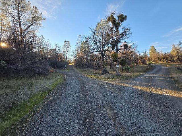 Donkey Mine Road