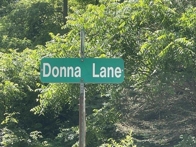 Donna Ln, Dryden, MI 48428