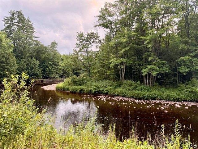 Donnattsburg Rd, Greig, NY 13345