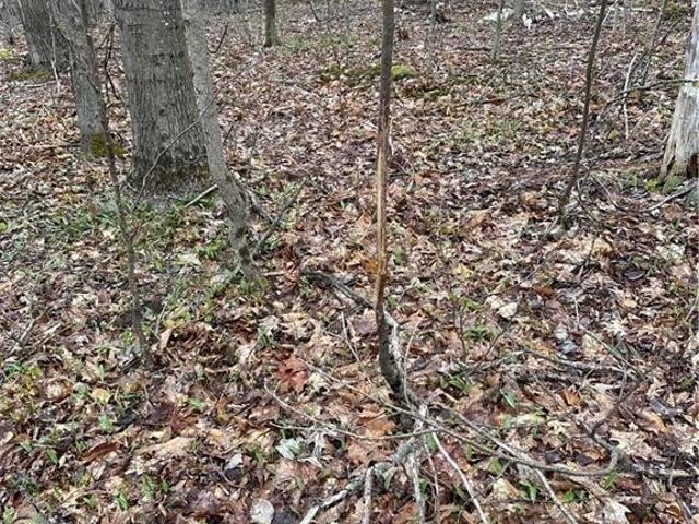 Donnerville Road