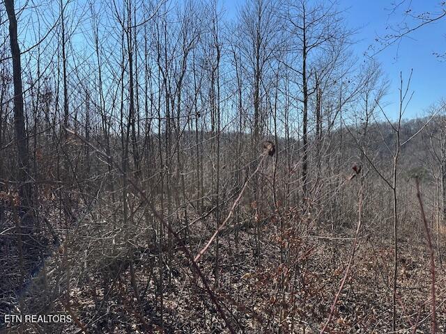 Dooley Hollow Rd, Ewing, VA 24248