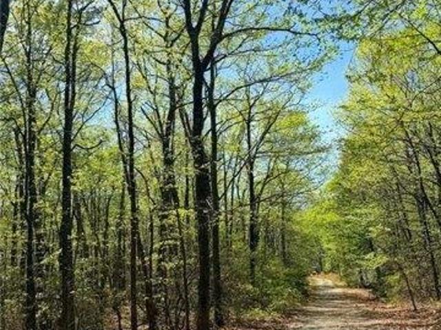 Dobson NC 27017 103626816