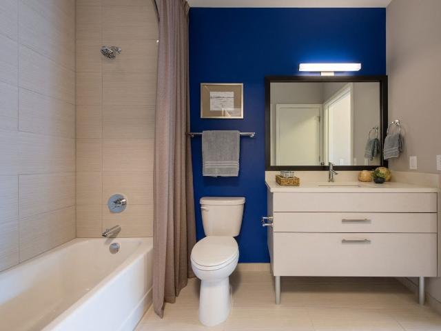 Dock 79 1 Bedroom Apartment for Rent at 79 Potomac Ave Se, Washington, DC 20003 Navy Yard