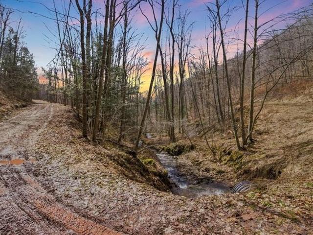 Dodge Hollow Rd, Emporium, PA 15834