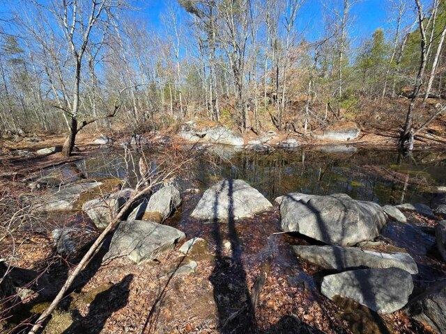 Dodge Rd, Allenstown, Plot For Sale
