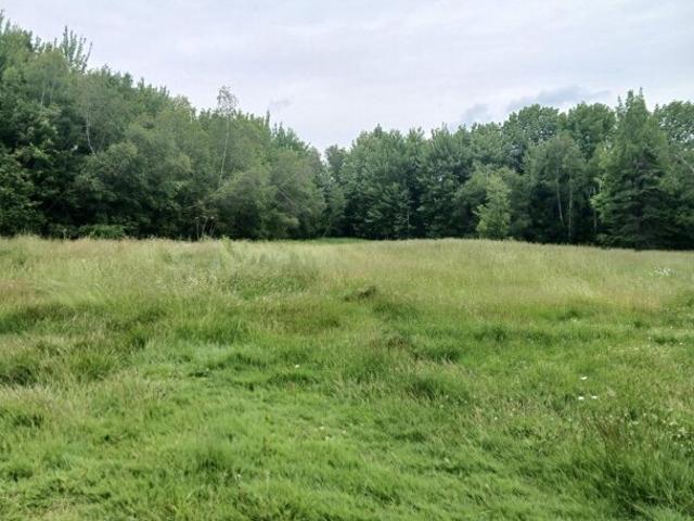 Dodge Rd, Burnham, Home For Sale