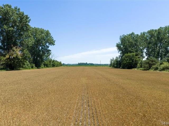 Dodge Rd Parcel A, Ellington Township, MI 48726