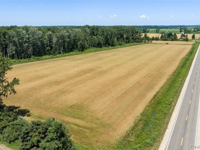 Dodge Rd Parcel B, Ellington Township, MI 48726