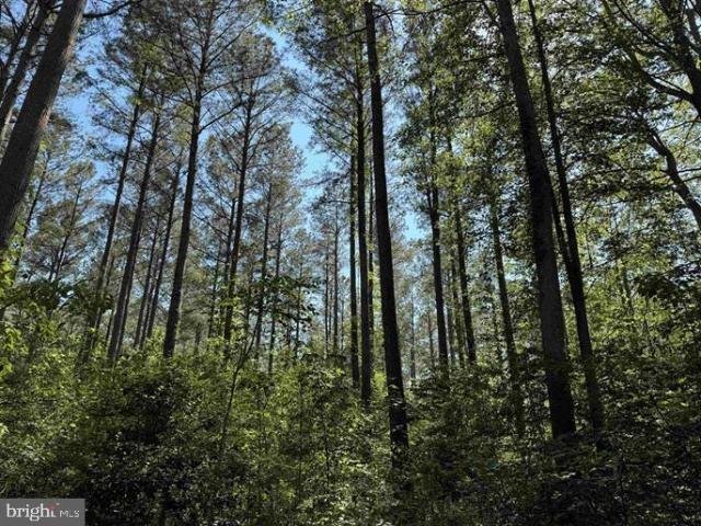 Dodlyt Road Tract: Bk2932