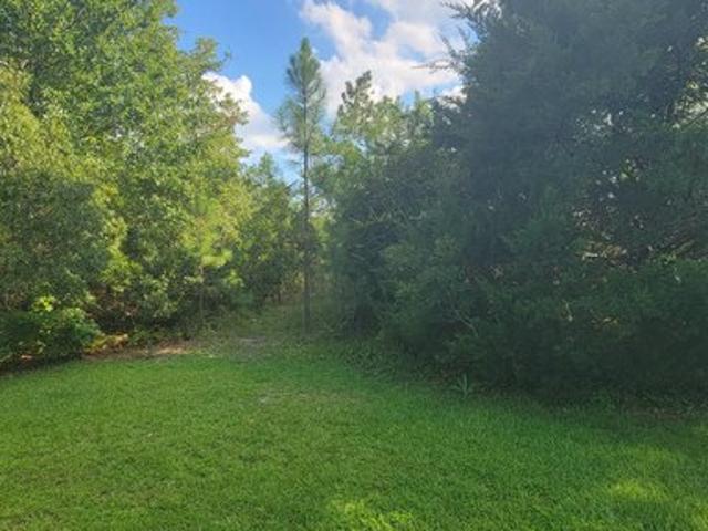 Doe Ct Lot 16, Hampstead, NC 28443