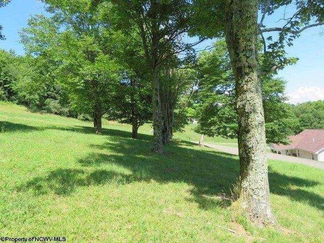 Doe Ln, Buckhannon, WV 26201