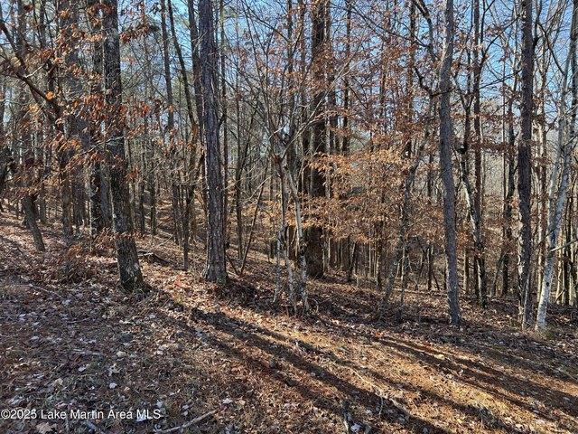 Doe Ln Lot 53, Dadeville, AL 36853