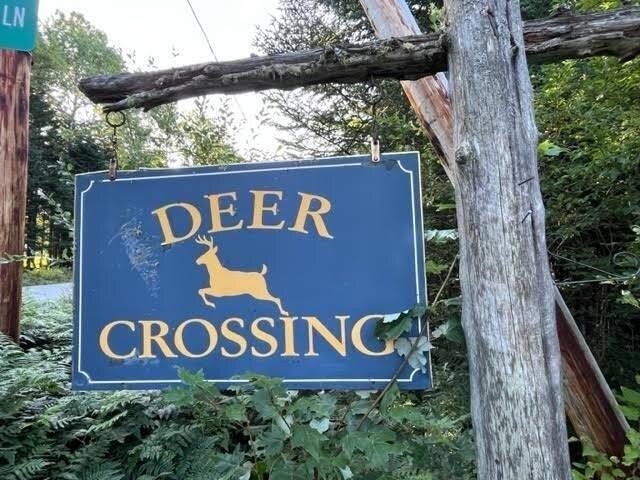 Doe Path Lot,rangeley, Plot For Sale