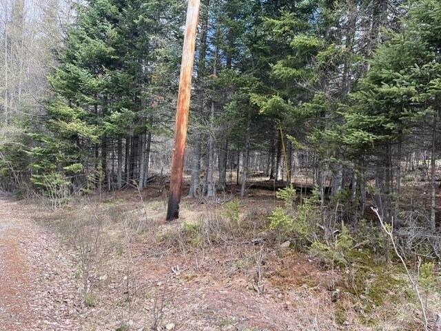 Doe Path Lot,rangeley, Plot For Sale