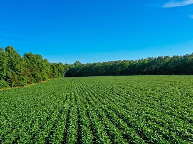 Doe Rd, Saltillo, TN 38370