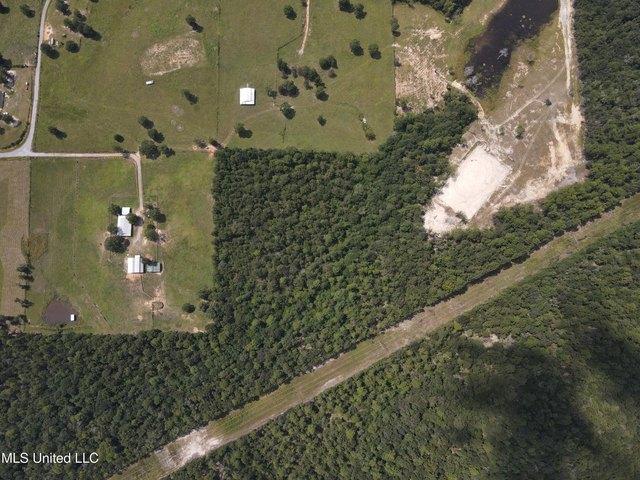 Doe Rdg, Lucedale, MS 39452