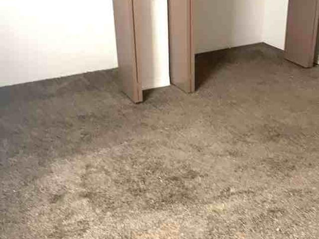 Doe Run Manor, LLC 2 Bedroom Apartment for Rent at 101 Swan Dr, Park Hills, MO 63601