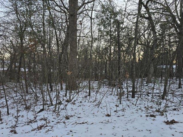 Doe Run Rd Lot 751, Gun Barrel City, TX 75156