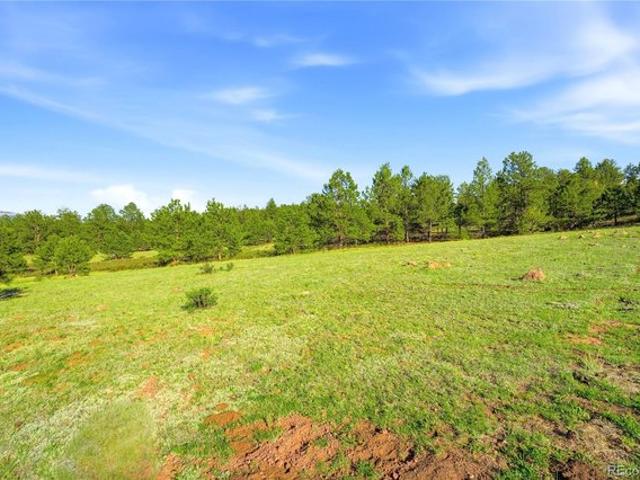 Doe Valley Rd, Guffey, CO 80820