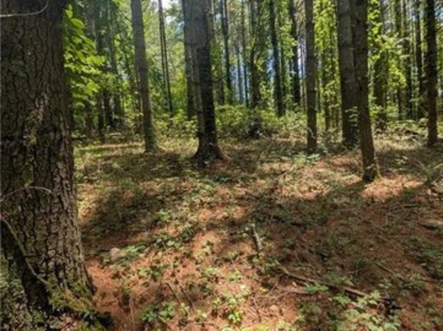 Doell Ln Unit 20, Sparta, NC 28675
