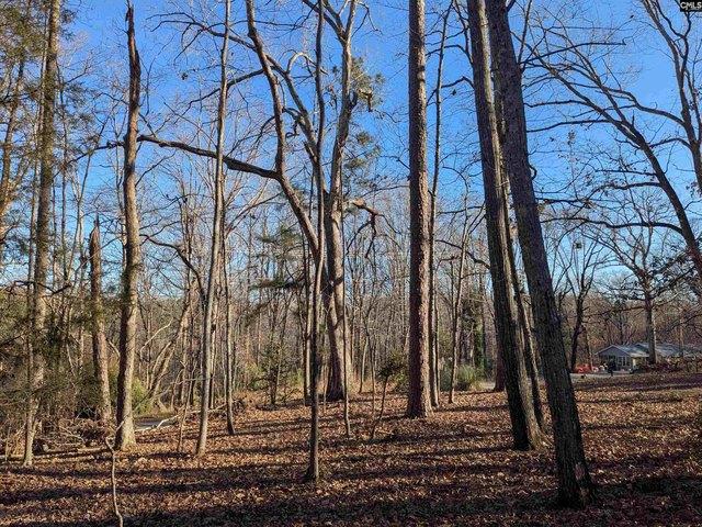Dogwood Ave, Winnsboro, SC 29180