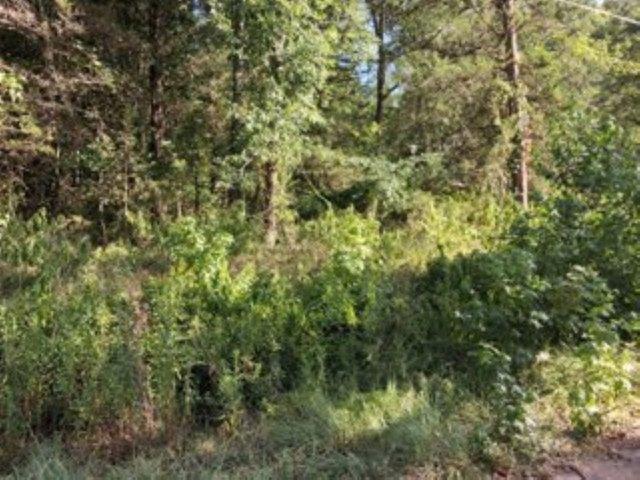 Dogwood Dr, Murchison, TX 75778