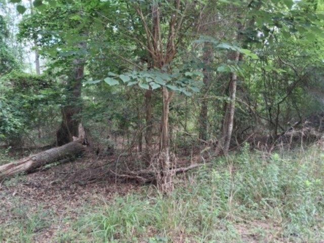 Dogwood Dr, Murchison, TX 75778