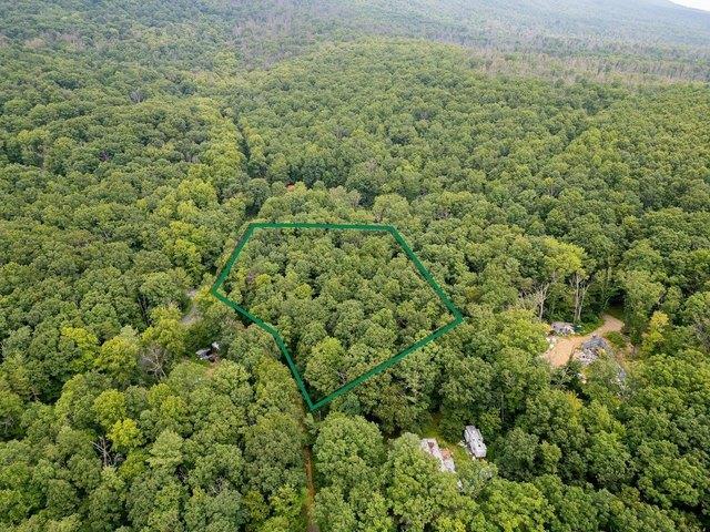 Dogwood Dr, New Market, VA 22844
