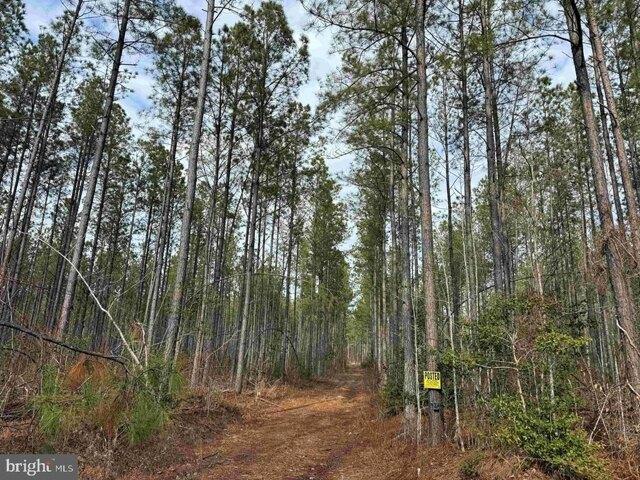 Dogwood Dr, Farnham, Plot For Sale