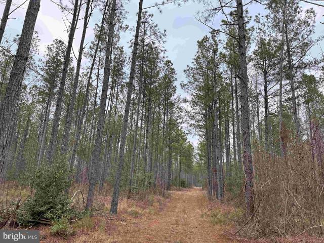 Dogwood Dr, Farnham, VA 22460 | MLS #VARV2000 | Compass