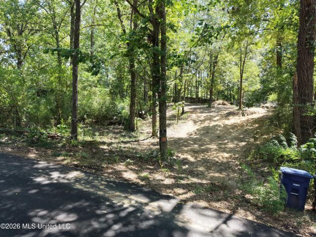 Dogwood Drive, Ashland, MS 38603