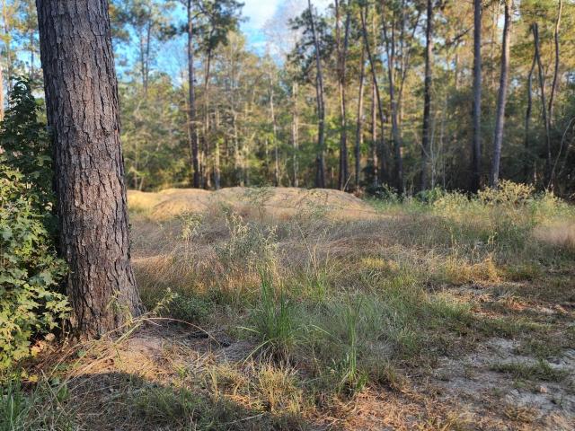 Dogwood drive brookeland 75931