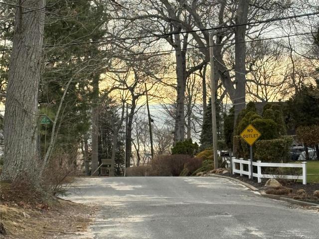 Dogwood Drive