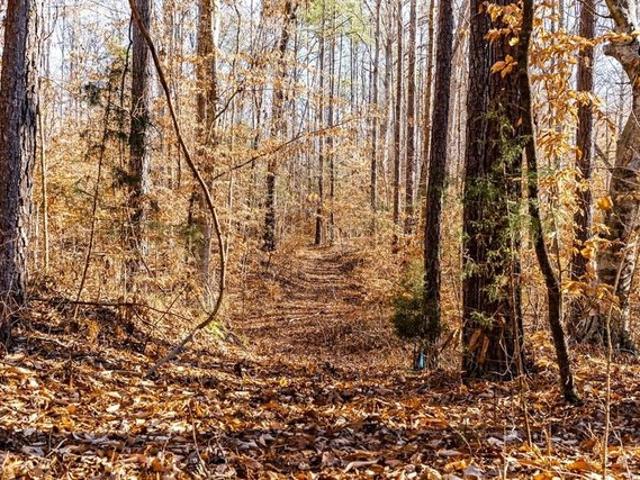 Dogwood Ln, Abbeville, SC 29620