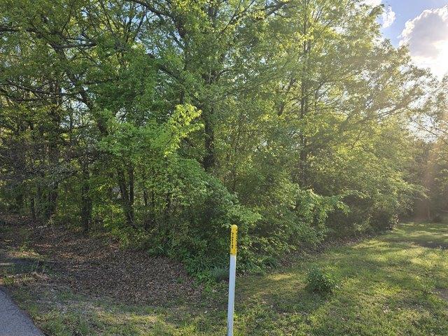 Dogwood Ln, Batesville, AR 72501