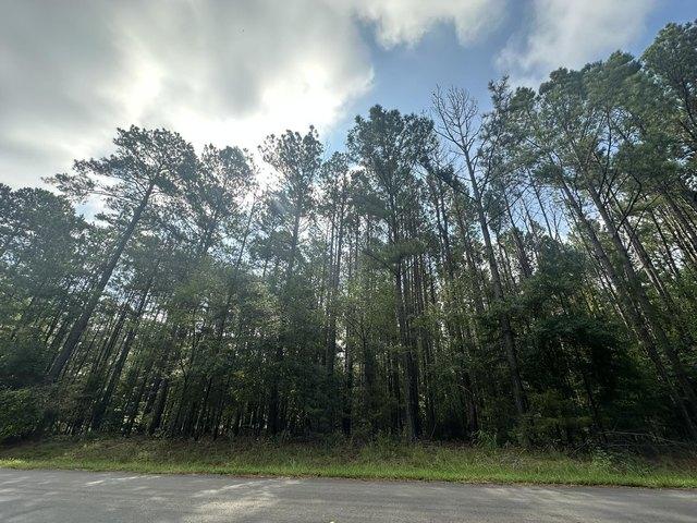 Dogwood Ln Lot 1, Parksville, SC 29845