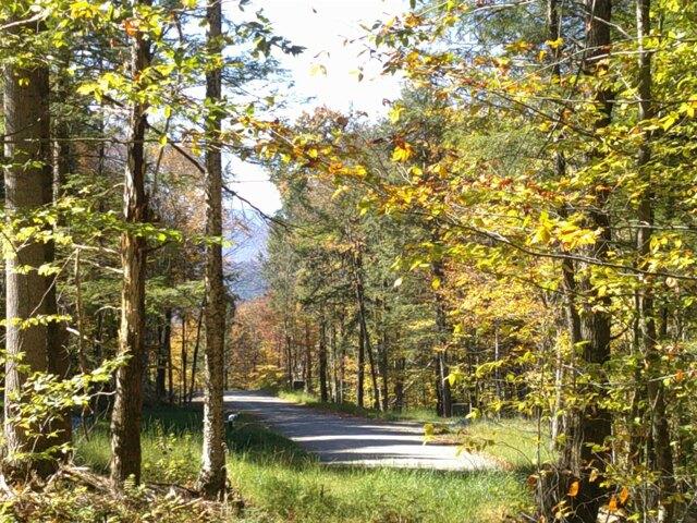 Dogwood Springs Rd Lot,stowe, Plot For Sale