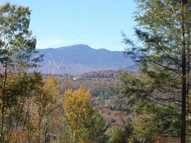 Dogwood Springs Rd Lot 3, Stowe, VT 05672