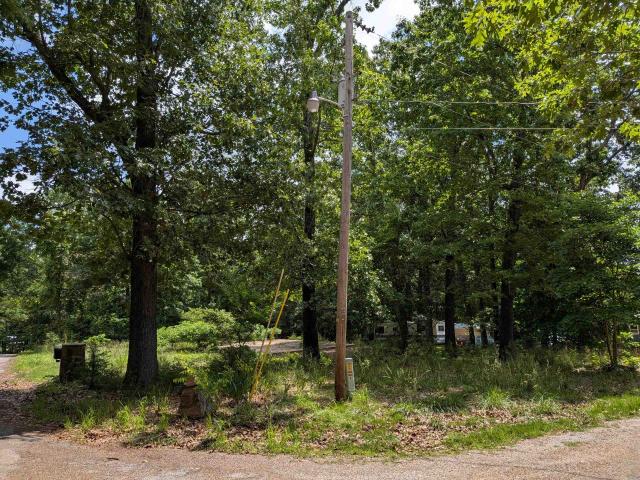 Dogwood Trail