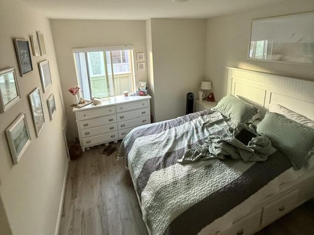 Dog friendly bed/bath very close to USD!