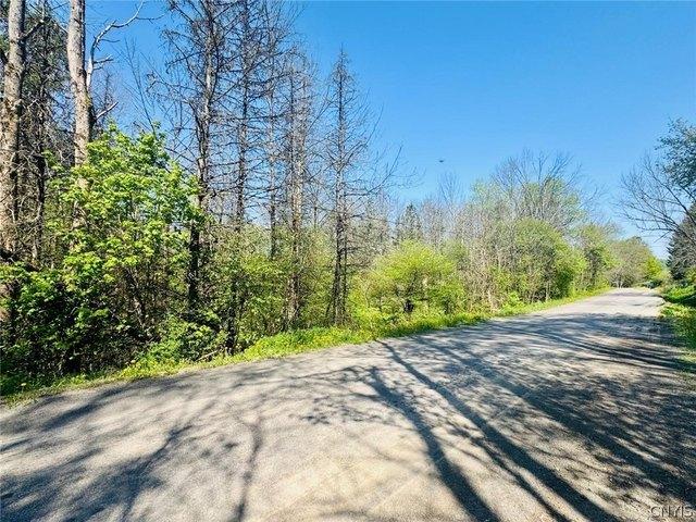 Dog Hollow Rd, Truxton, NY 13158