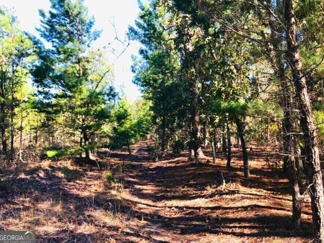 Dog Track Rd, Mauk, Plot For Sale