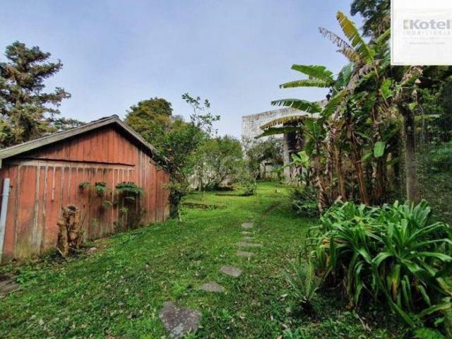 DOIS GRANDES TERRENOS localizados