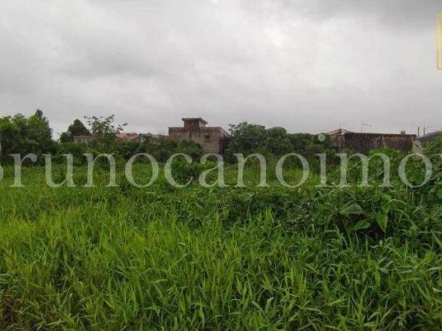 Dois Lotes à Venda – 11x25m² e 12x25m² a 1.800m da Praia