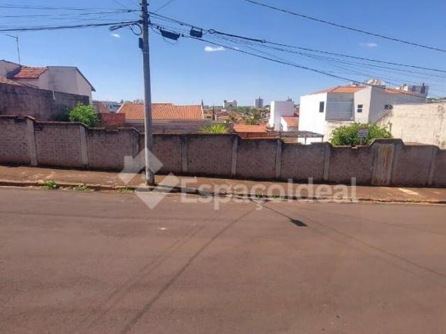 Dois Terrenos meio da quadra Vila Santa Cecília
