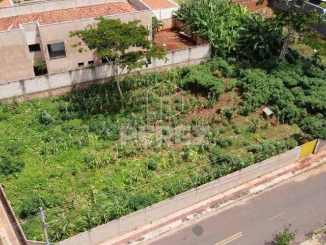 Dois Terrenos na Vila Margarida
