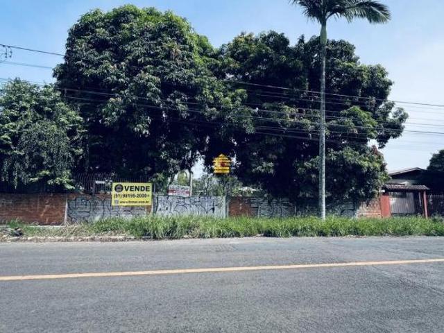 Dois Terrenos com grande potencial comercial no Bairro Scharlau !