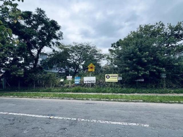 Dois terrenos em Av movimentada do Bairro Scharlau !